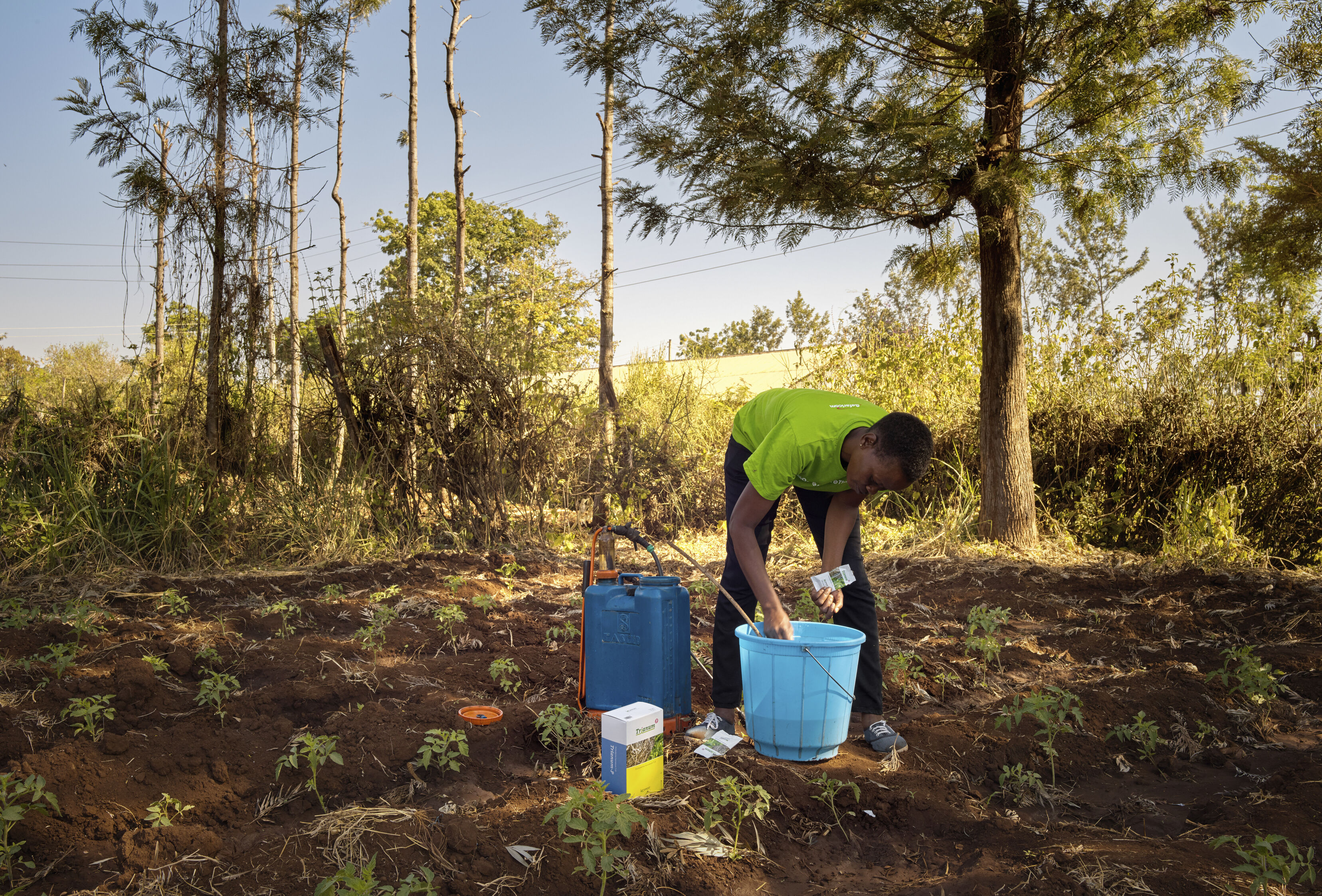 Koppert Foundation | Koppert Österreich